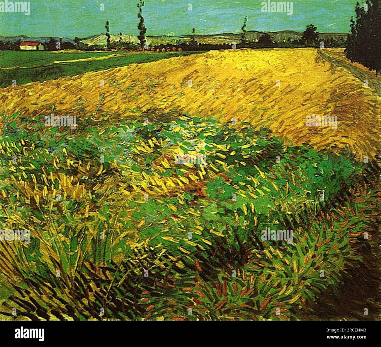 Alpilles vincent van gogh hi-res stock photography and images - Alamy