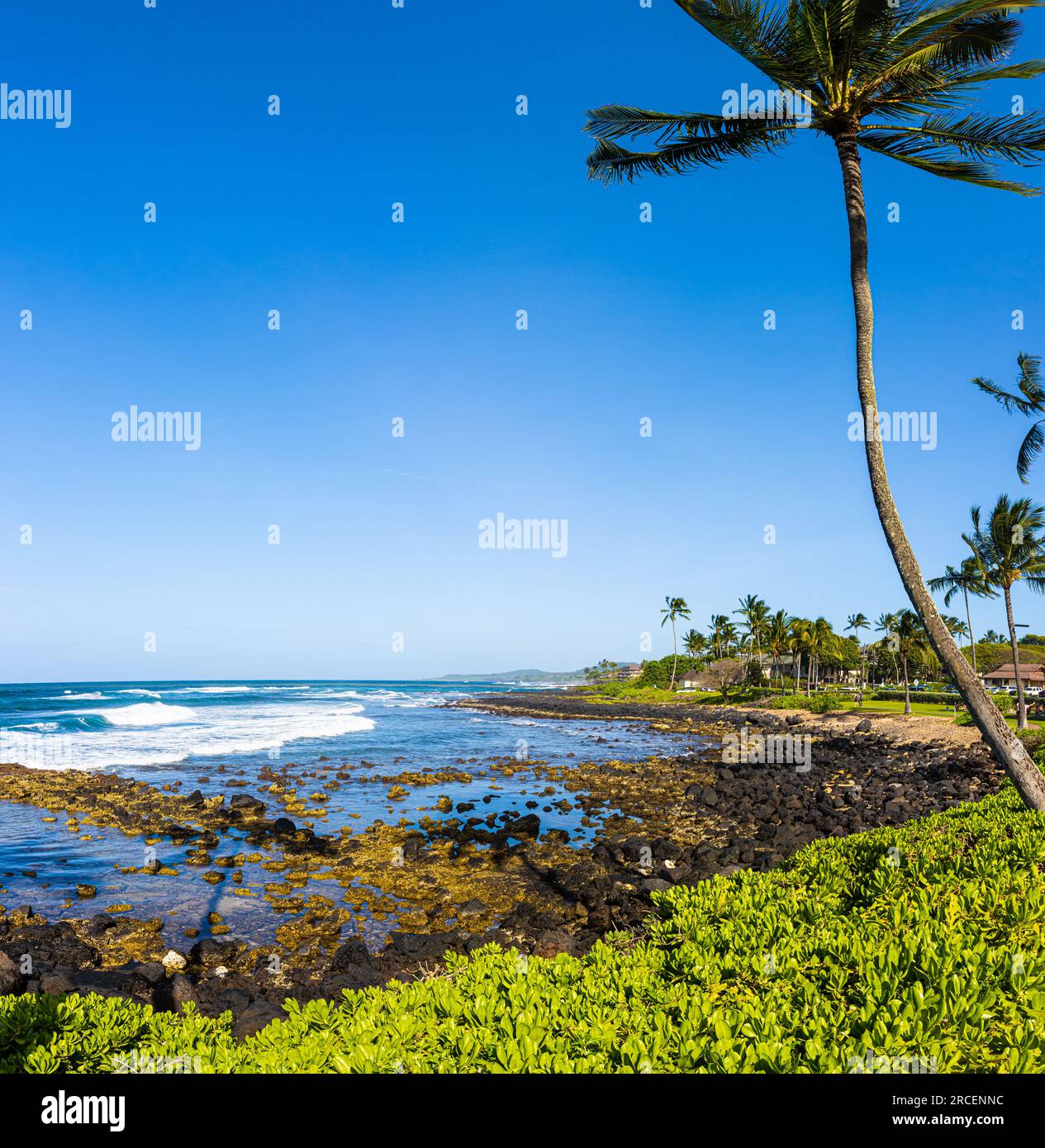 Clear Water and Coral Reef on Poipu Beach., Koloa, Kauai, Hawaii, USA ...