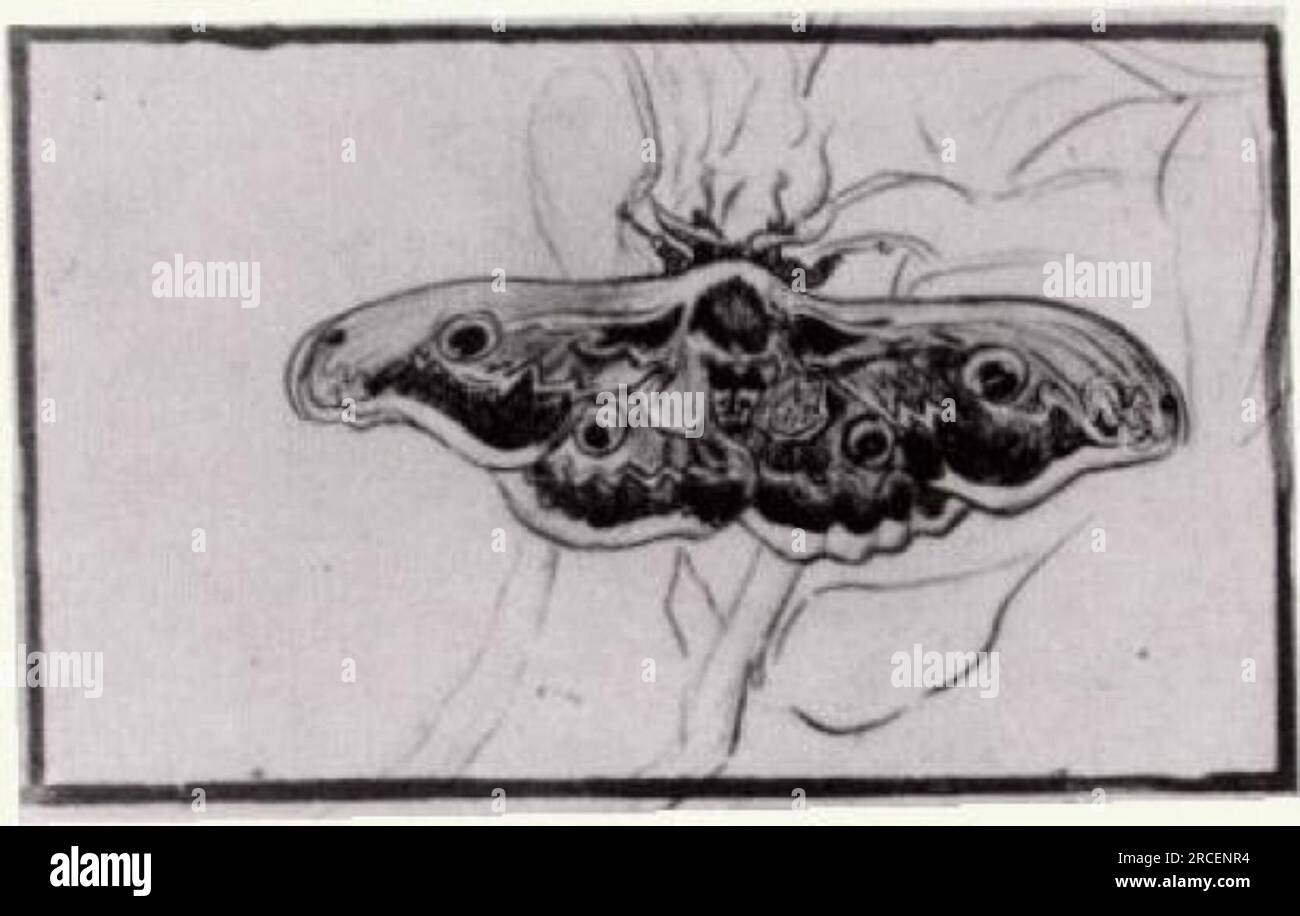 Death's Head Moth 1889; Arles, Bouches-du-Rhône, France by Vincent van ...