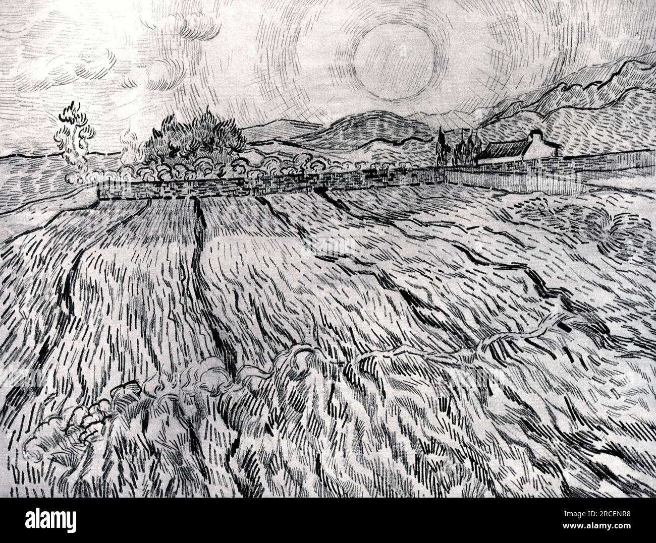 Enclosed Field behind Saint-Paul Hospital 1889; Saint-rémy-de-provence ...