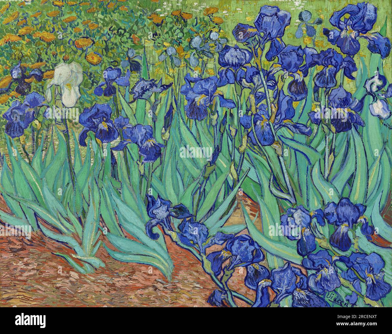 Irises 1889 post impressionism hi-res stock photography and images - Alamy