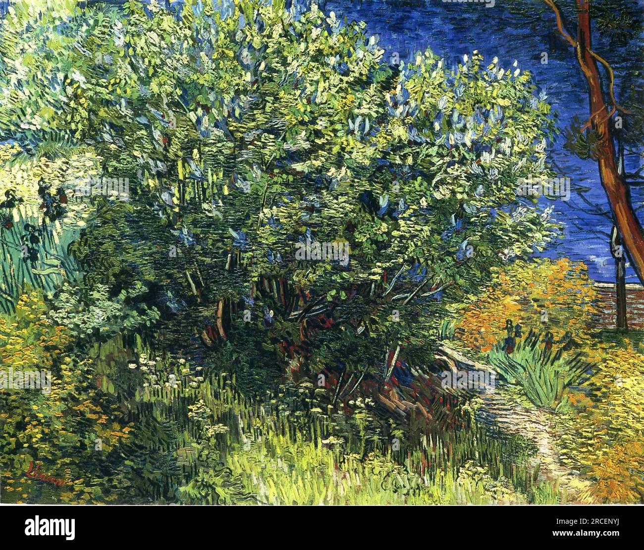 Lilac Bush 1889; Arles, Bouches-du-Rhône, France by Vincent van Gogh ...
