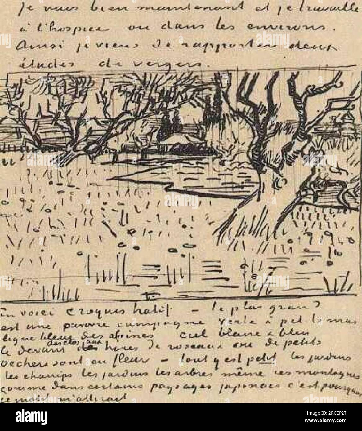Orchard in Bloom with View of Arles 1889; Arles, Bouches-du-Rhône ...