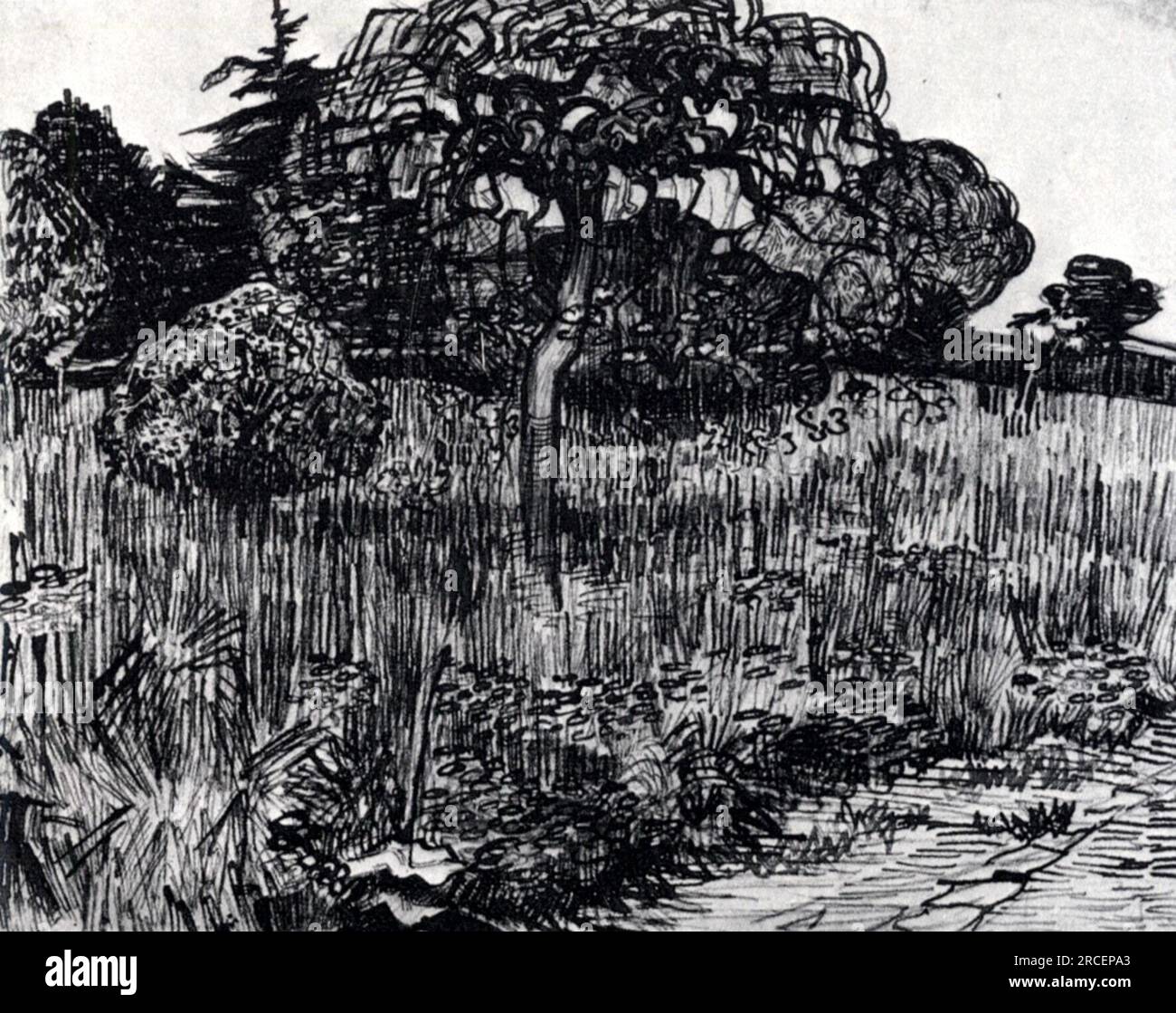 The Park at Arles 1889; Arles, Bouches-du-Rhône, France by Vincent van ...