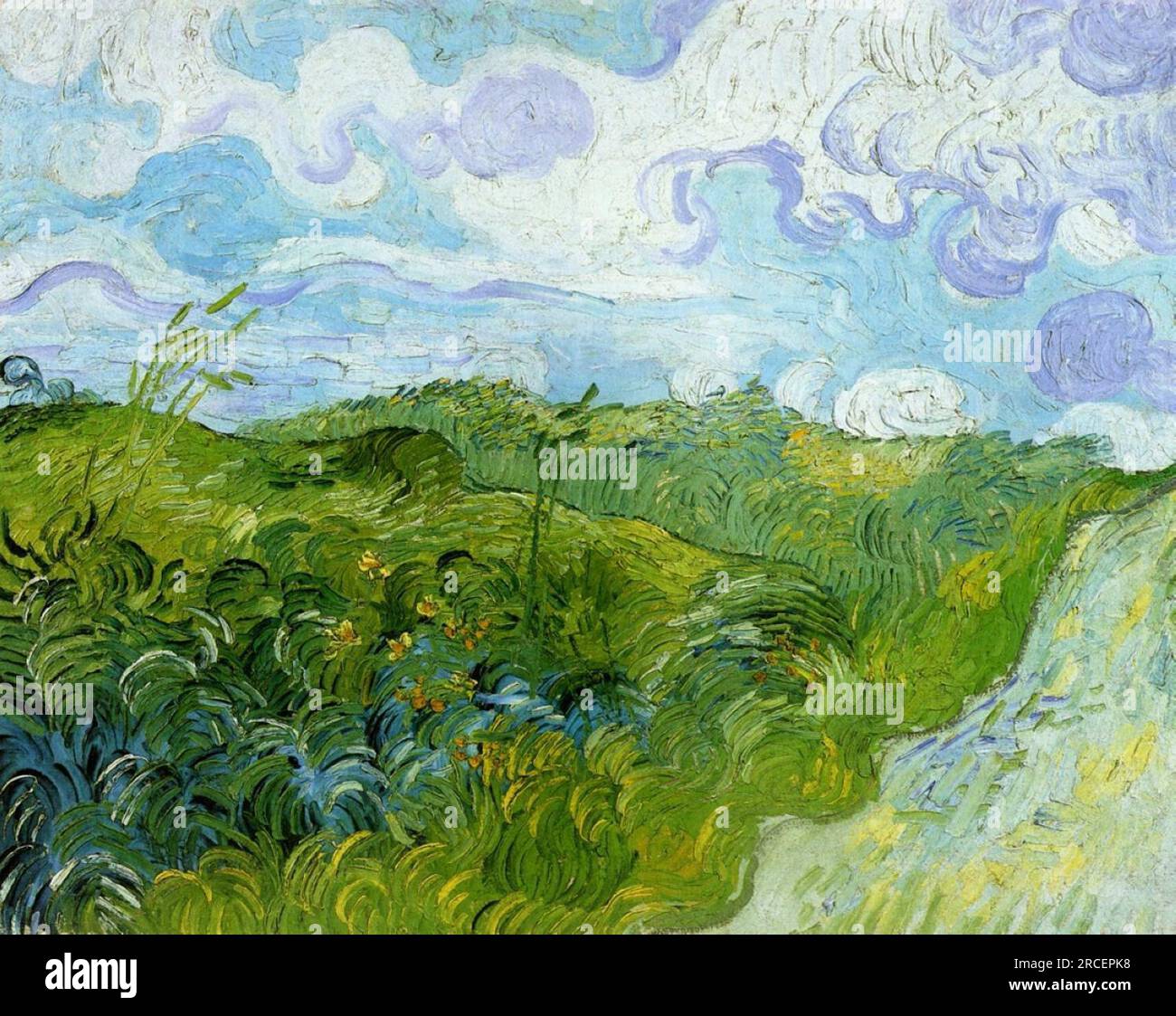 Green Wheat Fields 1890; Saint-rémy-de-provence, France by Vincent van ...