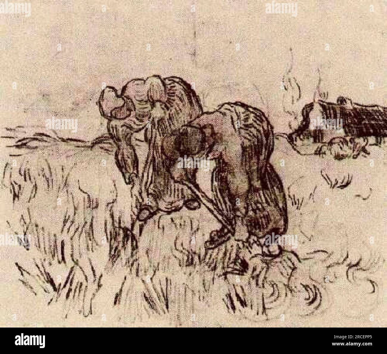 Peasant Woman Digging 1890; Saint-rémy-de-provence, France by Vincent ...