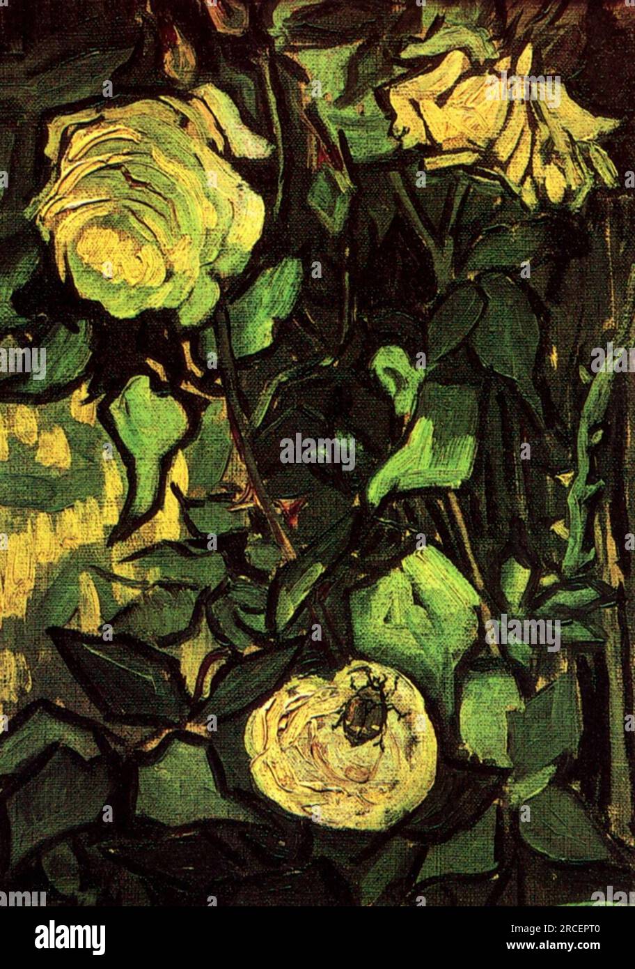 Roses and Beetle 1890; Saint-rémy-de-provence, France by Vincent van ...
