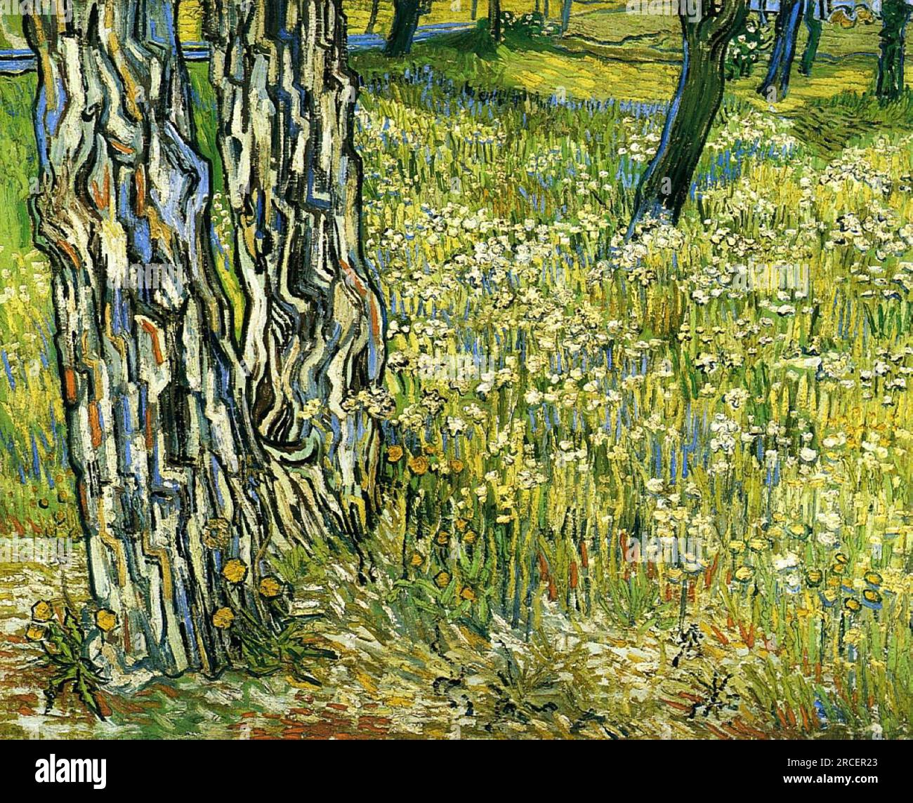 Tree Trunks in the Grass 1890; Saint-rémy-de-provence, France by ...