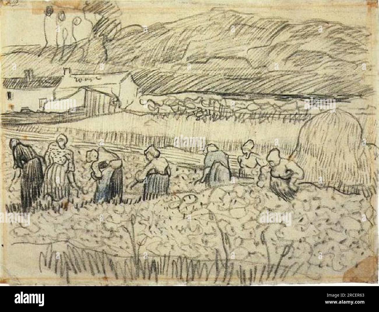 Women Working in Wheat Field 1890; Auvers-sur-oise, France by Vincent van Gogh Stock Photo - Alamy