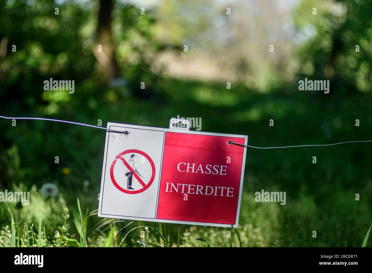 Sign to warn about banned hunting | Panneau d'avertissement qu'il s ...