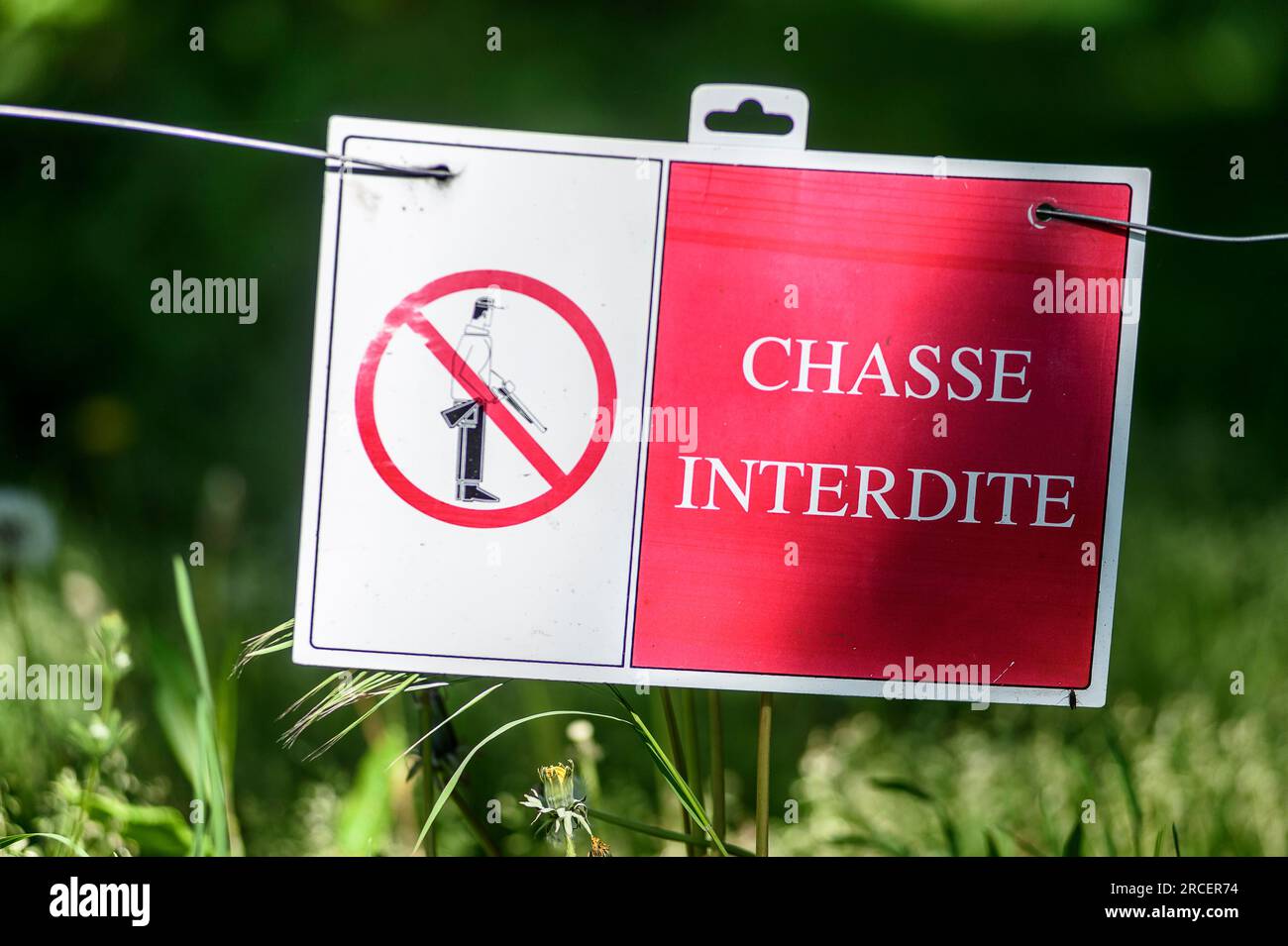 Sign to warn about banned hunting | Panneau d'avertissement qu'il s ...