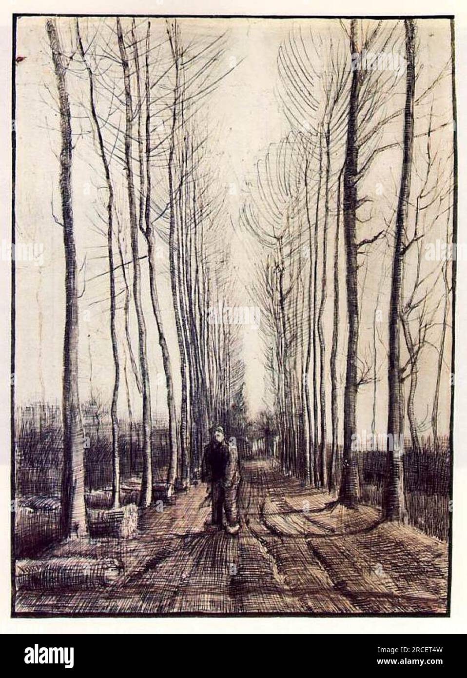 Poplar Trees 1884; Nunen / Nuenen, Netherlands by Vincent van Gogh ...