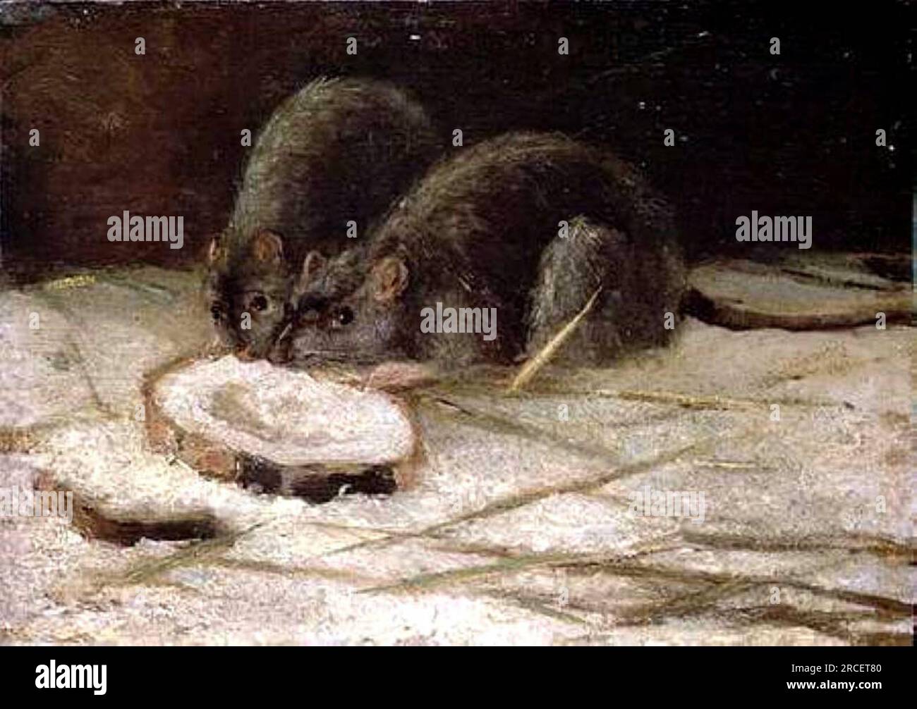Two Rats 1884; Nunen / Nuenen, Netherlands by Vincent van Gogh Stock ...