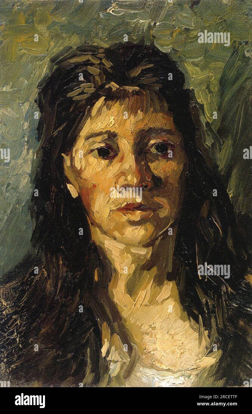 Head of a Woman with her Hair Loose 1885; Antwerp, Belgium by Vincent ...