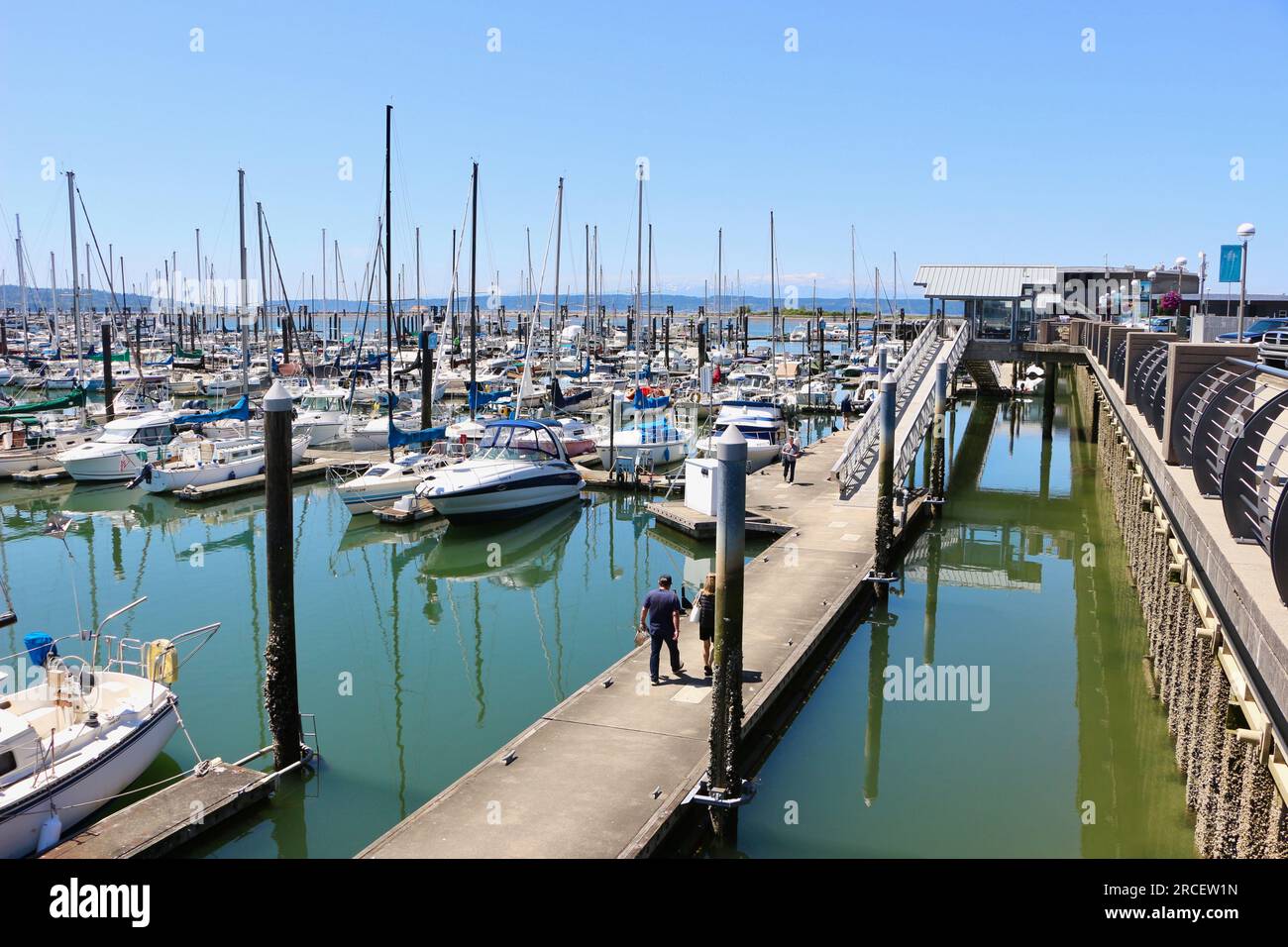 Moored boats yachts and motorboats in sunshine at Everett Marina Puget ...