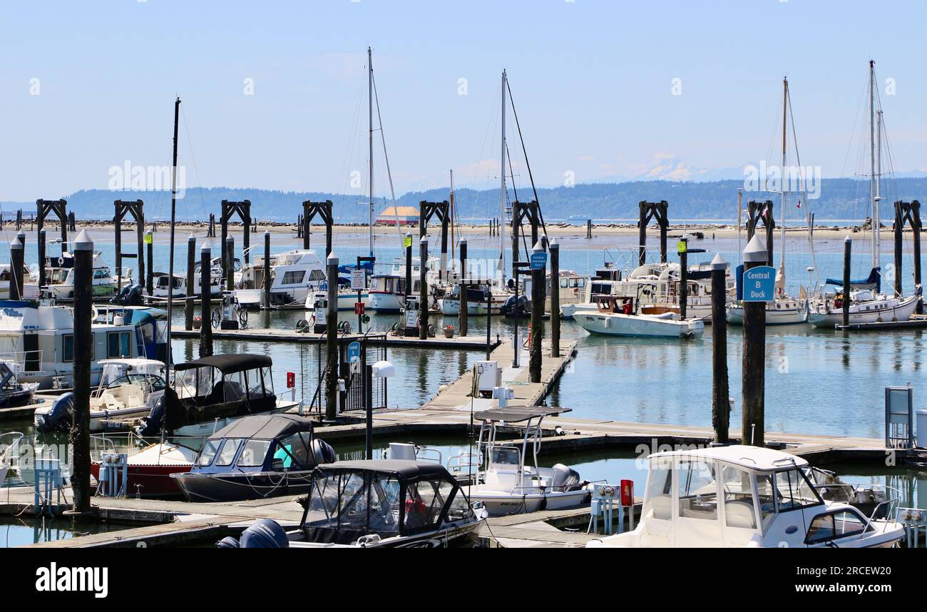 Moored boats yachts and motorboats in sunshine at Everett Marina Puget ...
