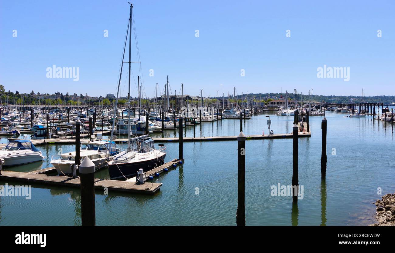 Moored boats yachts and motorboats in sunshine at Everett Marina Puget ...