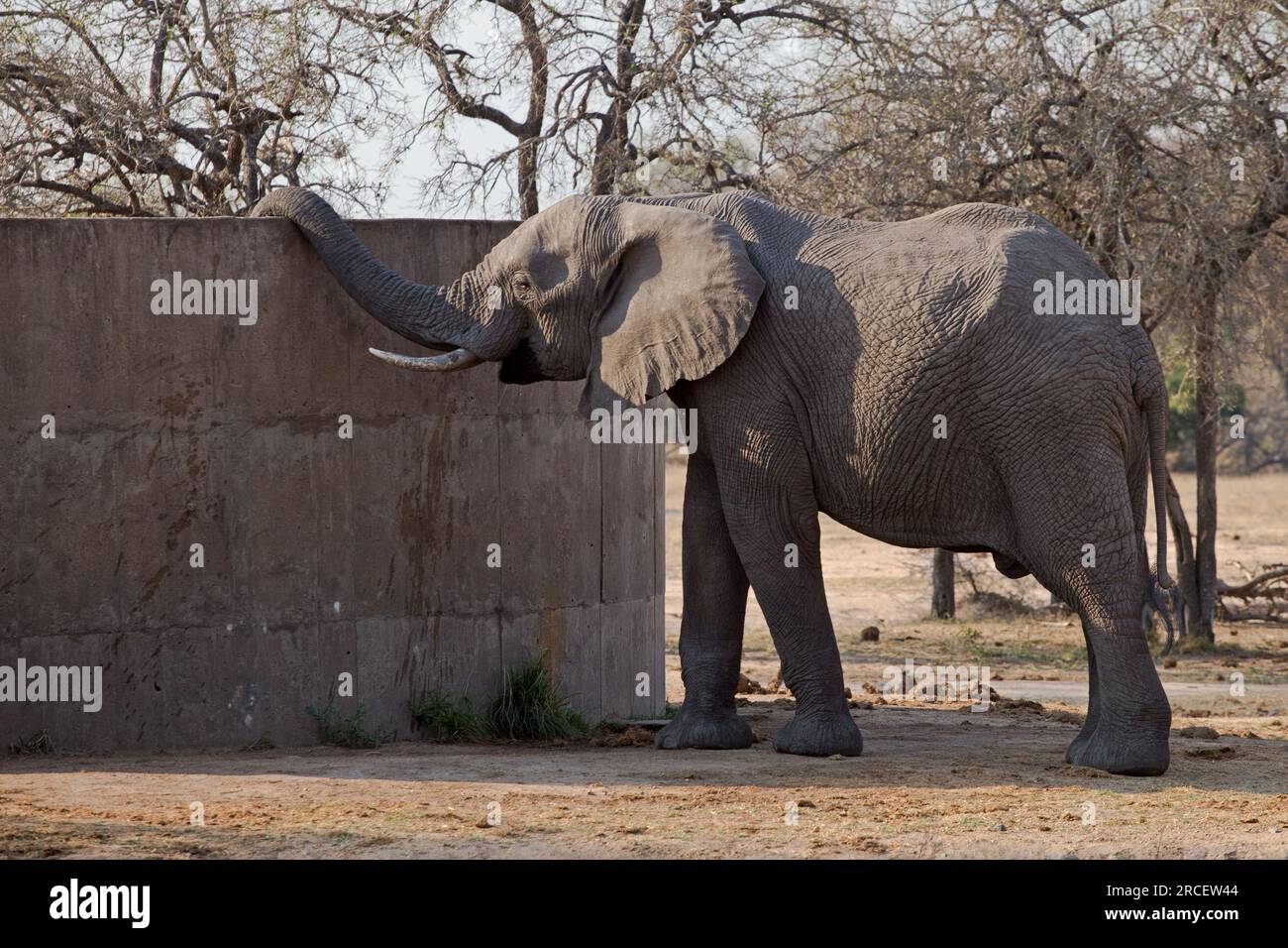 South africa drinking water hi-res stock photography and images - Alamy