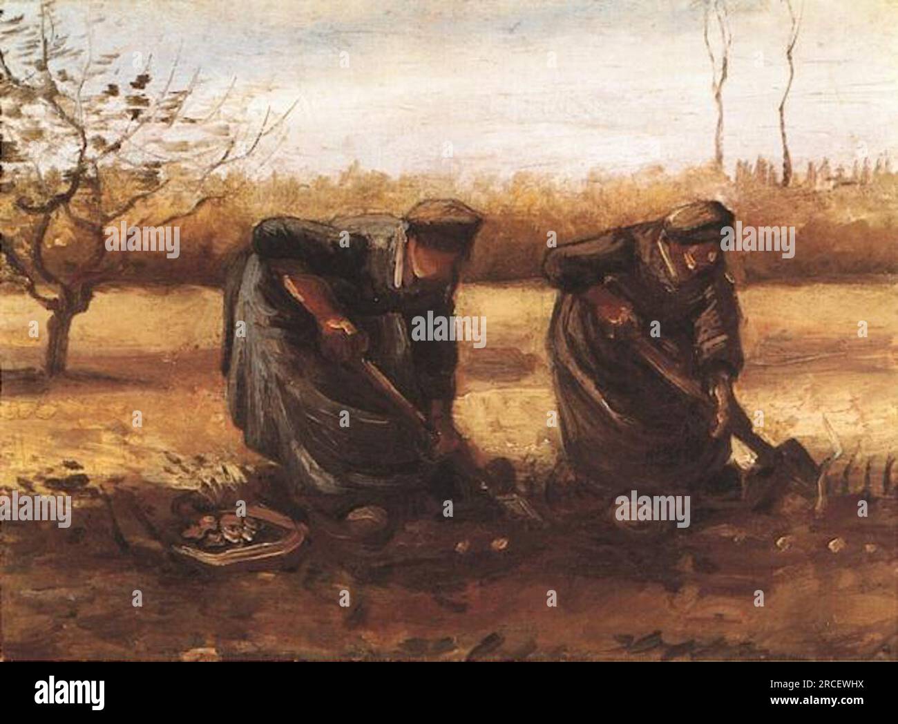 Two peasant women digging potatoes 1885; Nunen / Nuenen, Netherlands by ...