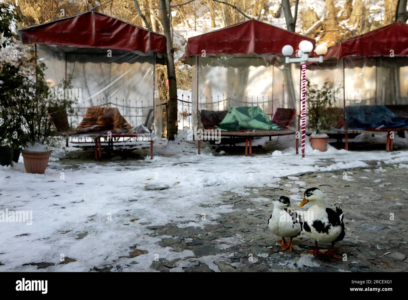 A view of Darband tourist village in the north of Tehran city at ...