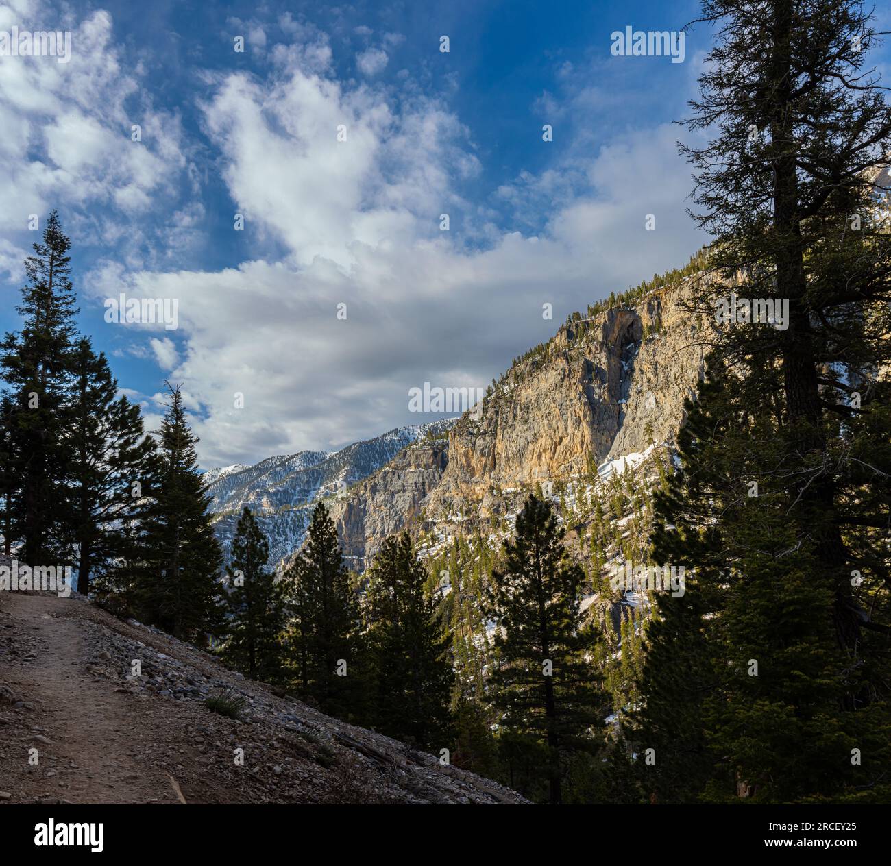 The Spring Mountain Range Down Kyle Canyon on The Mary Jane Falls Trail ...