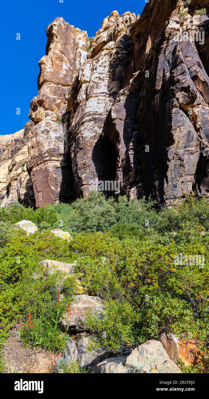 Boulders and Steep Canyon Walls on The Ice Box Canyon Trail, Red Rock ...