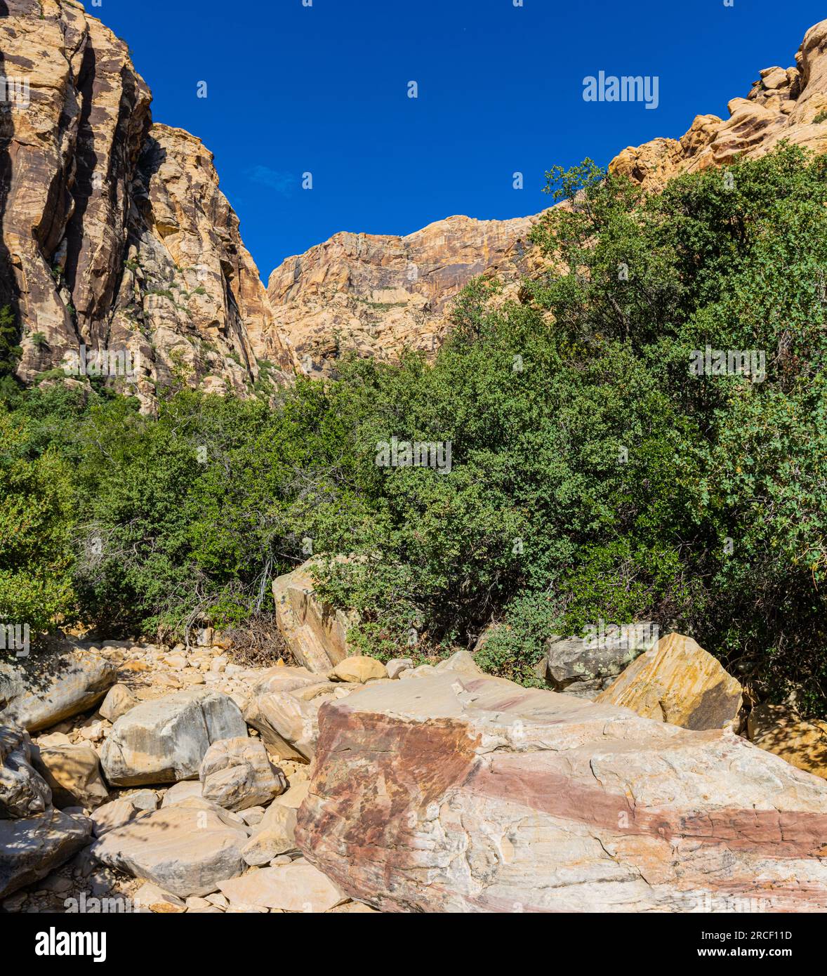 Boulders and Steep Canyon Walls on The Ice Box Canyon Trail, Red Rock ...