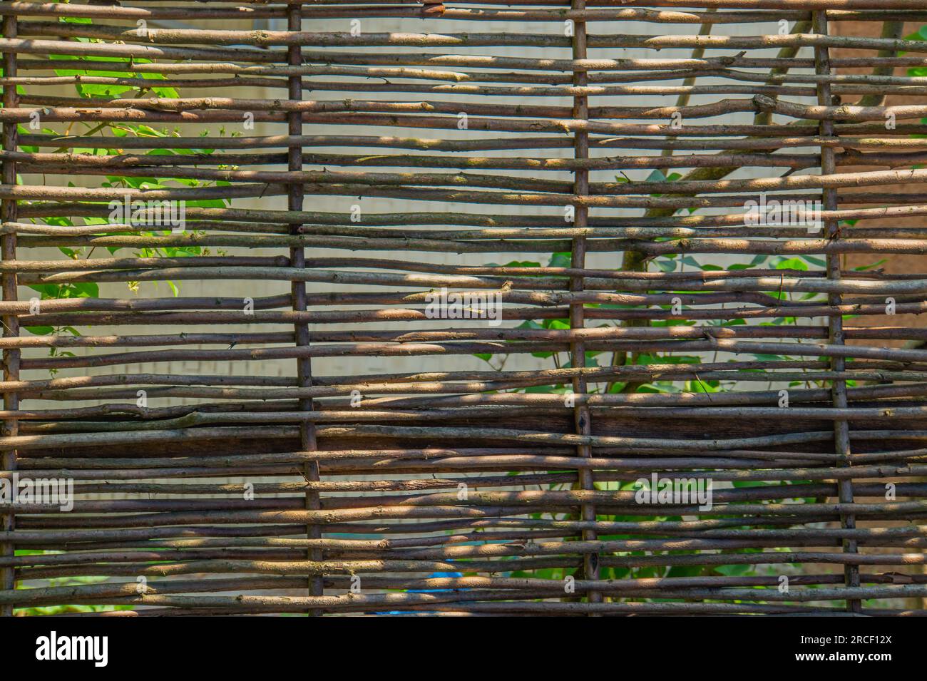 Fence wicker from the vine, texture, background. Wicker vine fence ...