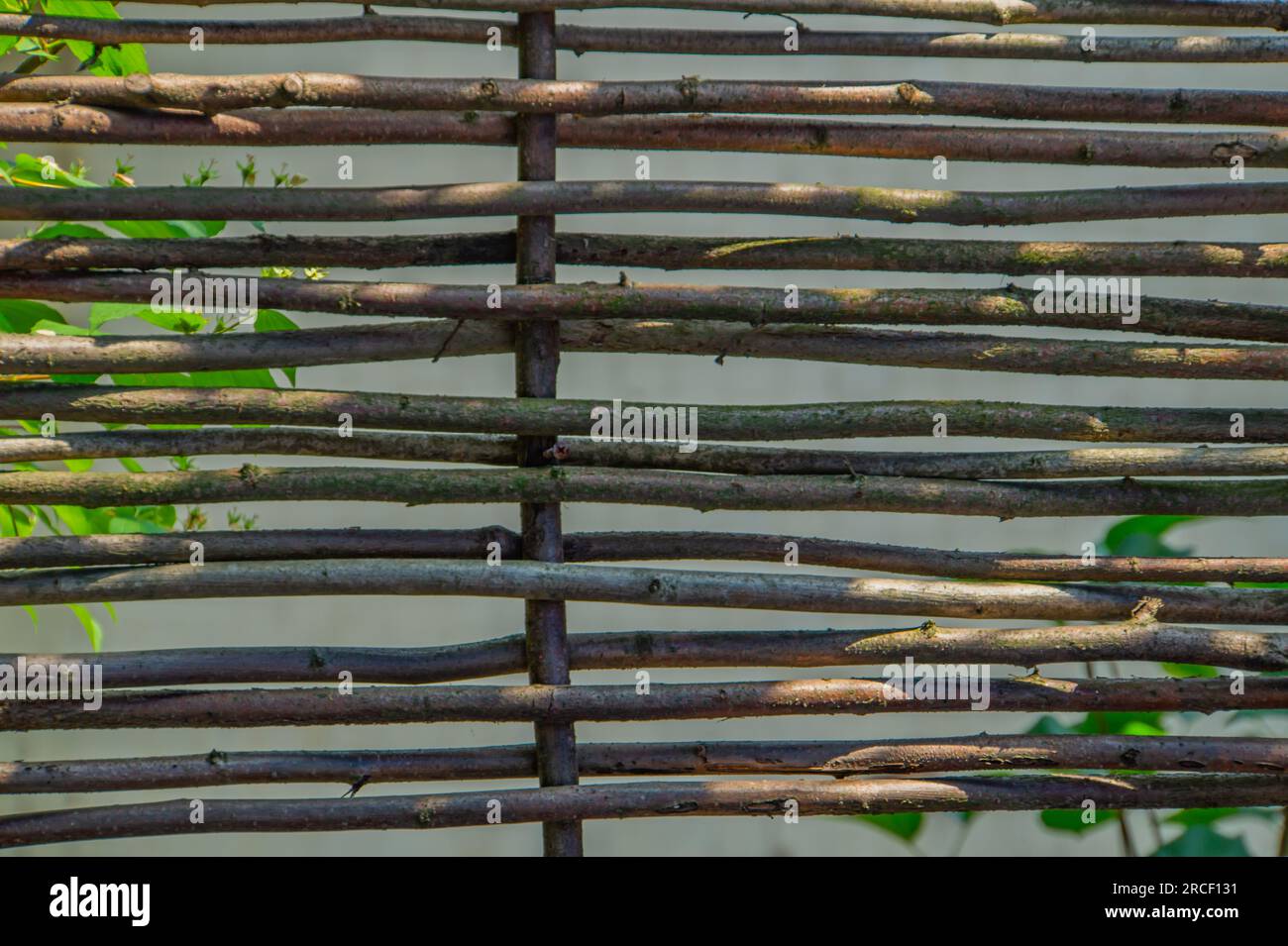 Fence wicker from the vine, texture, background. Wicker vine fence ...