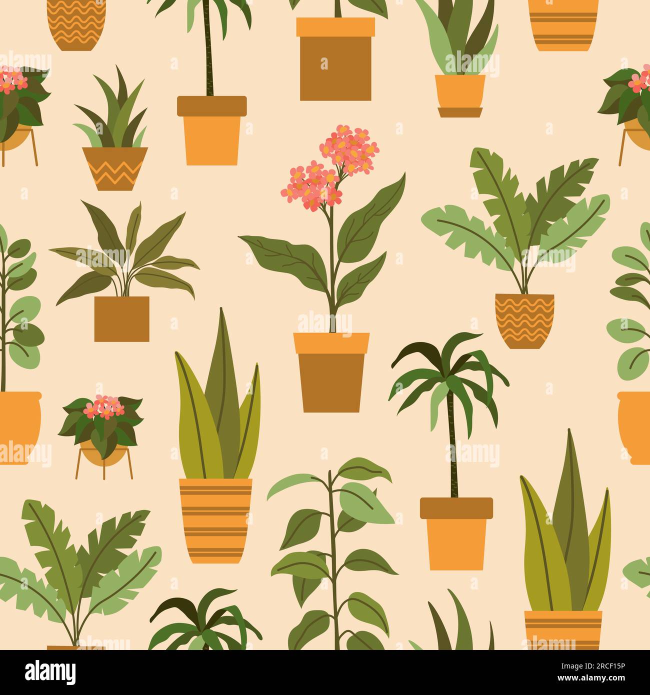 Vector pattern with indoor plants Stock Vector Image & Art - Alamy