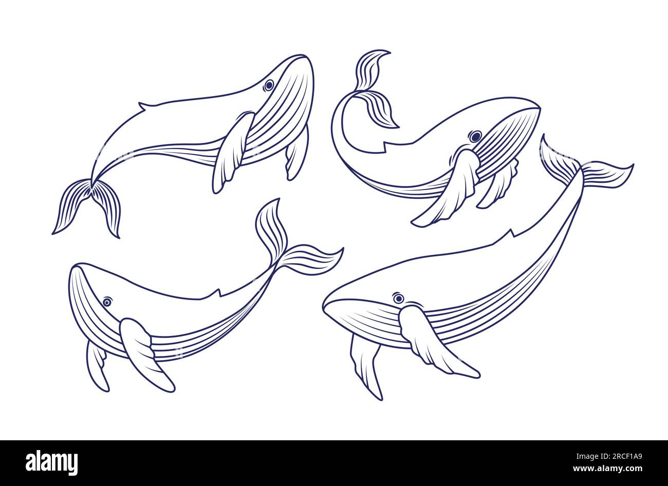 Vector drawing set with whales Stock Vector Image & Art - Alamy