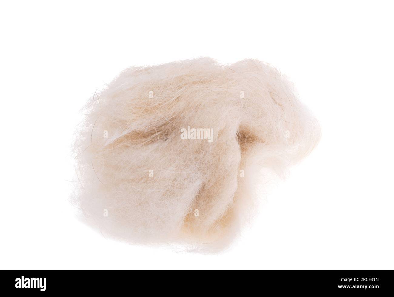 White sheep material wool Cut Out Stock Images & Pictures - Alamy