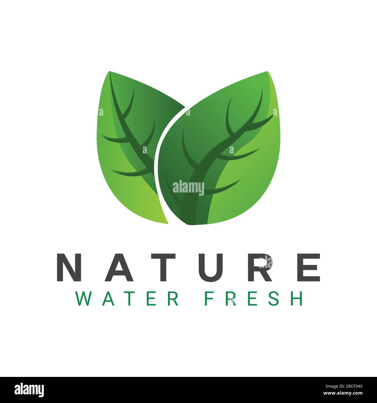 3D Nature Leaf Logo Design Eco Friendly Logotype Water Drop Stock ...