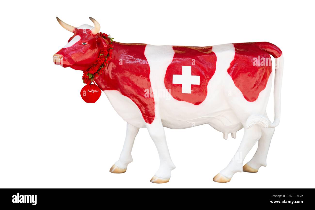 swiss cow isolated on white background Stock Photo - Alamy