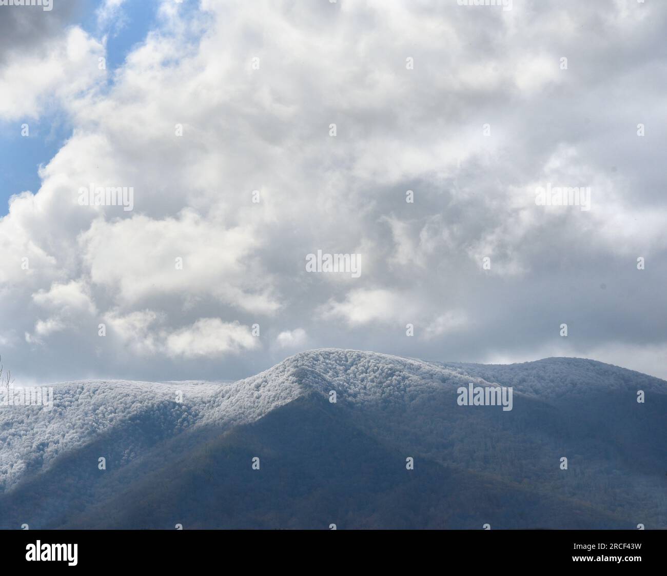 Fresh snow covers trees at crest of Mount Mitchell in North Carolina. Clouds cover peaks and a ...
