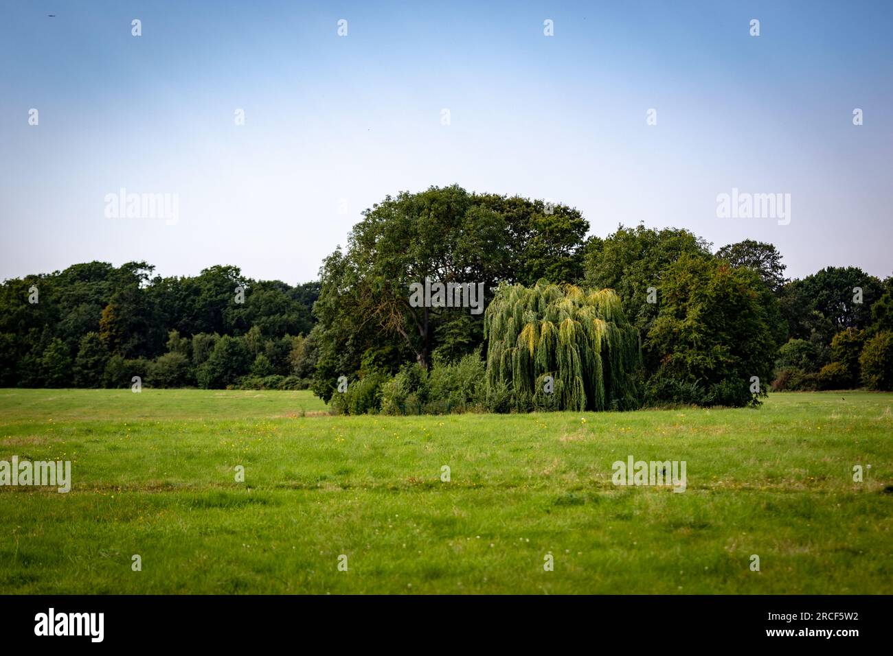 Beautiful landscape photo in the park of London Stock Photo - Alamy