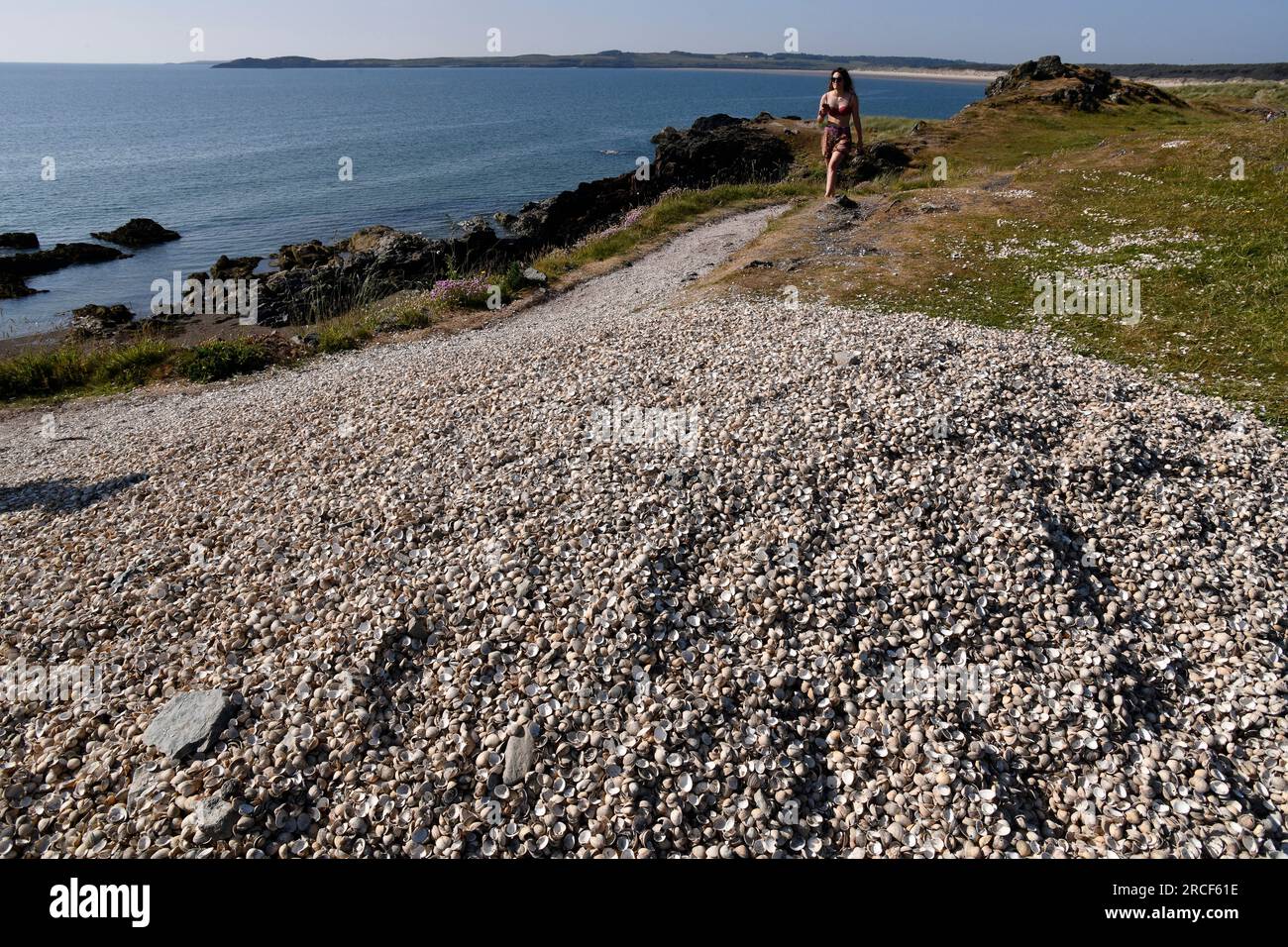 Path made of sea shells Ynys Llanddwyn Newborough National Nature ...