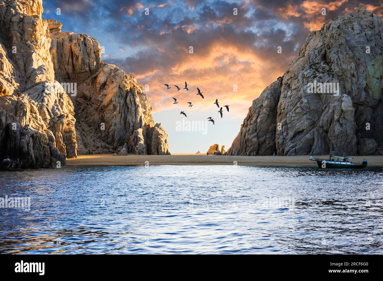 Seagulls and a whale near a beach hi-res stock photography and images ...