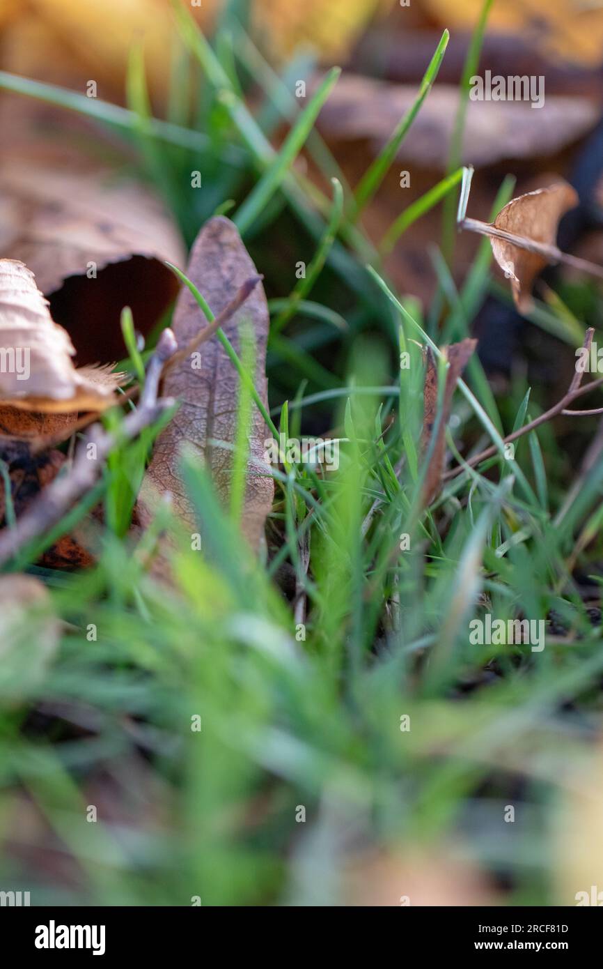 Amazing view footage taken of the nature and Flora and Fauna Stock ...