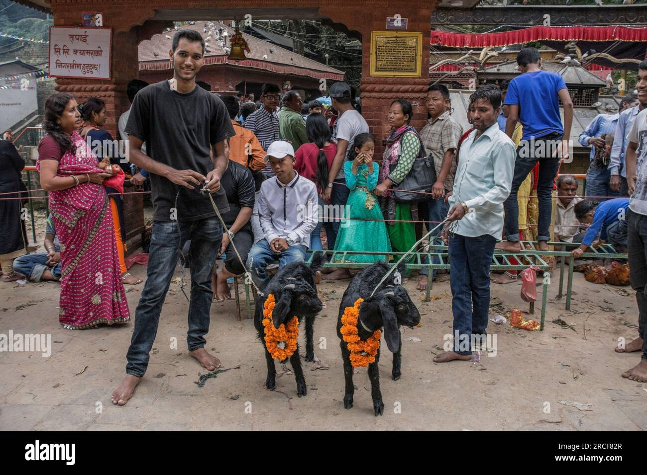 Dashain celebrations at Dakshinkali Temple, Kathmandu, Nepal Stock ...