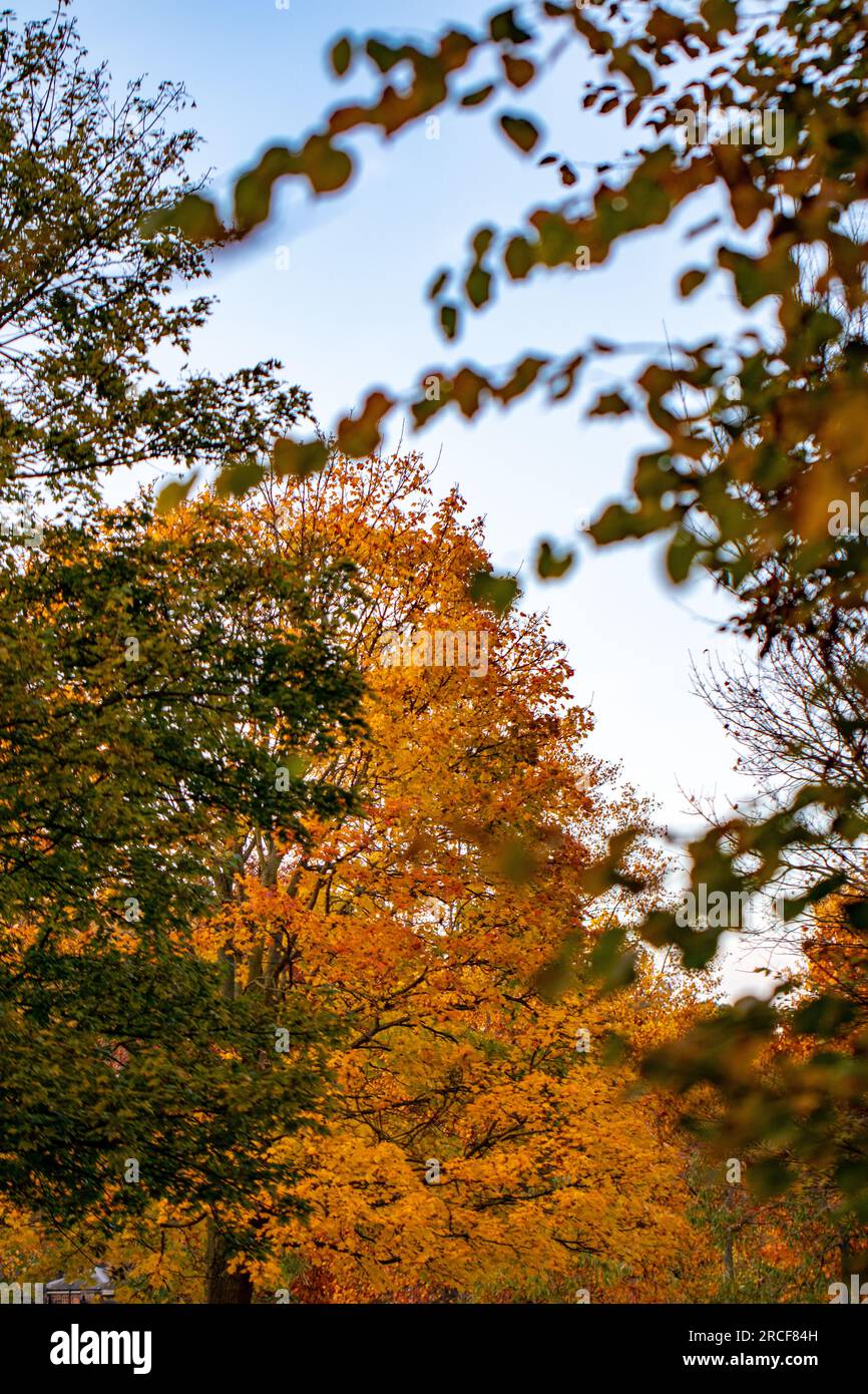 Amazing view footage taken of the nature and Flora and Fauna Stock ...