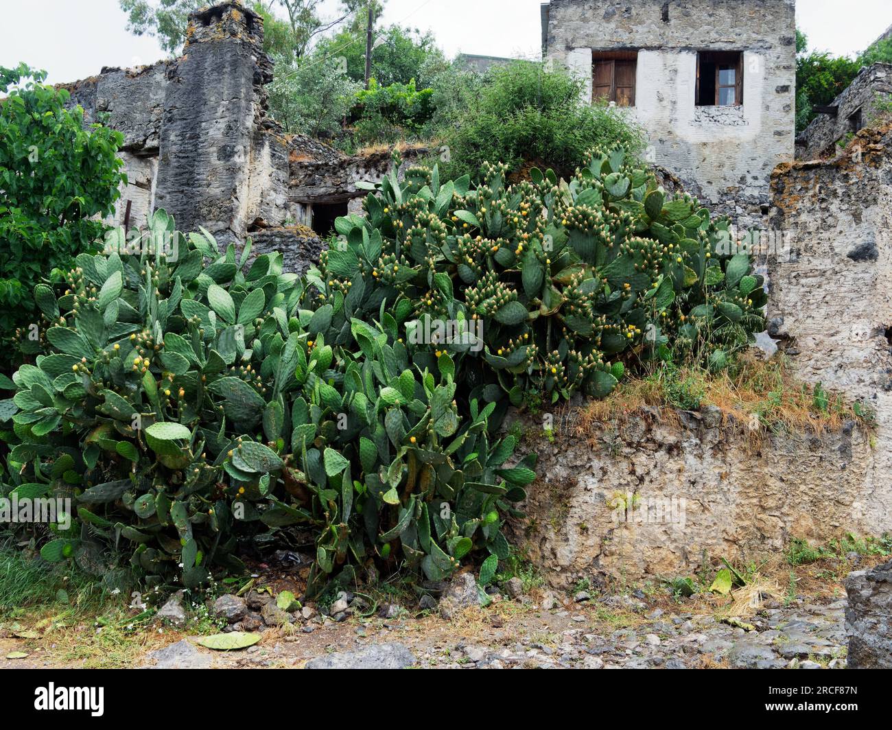 Hisaronu turkey hi-res stock photography and images - Alamy