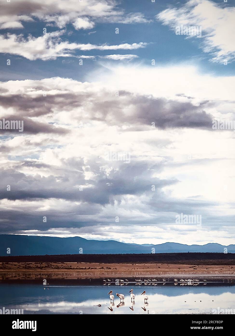 Lake Magadi is the southernmost lake in the Kenyan Rift Valley, lying ...