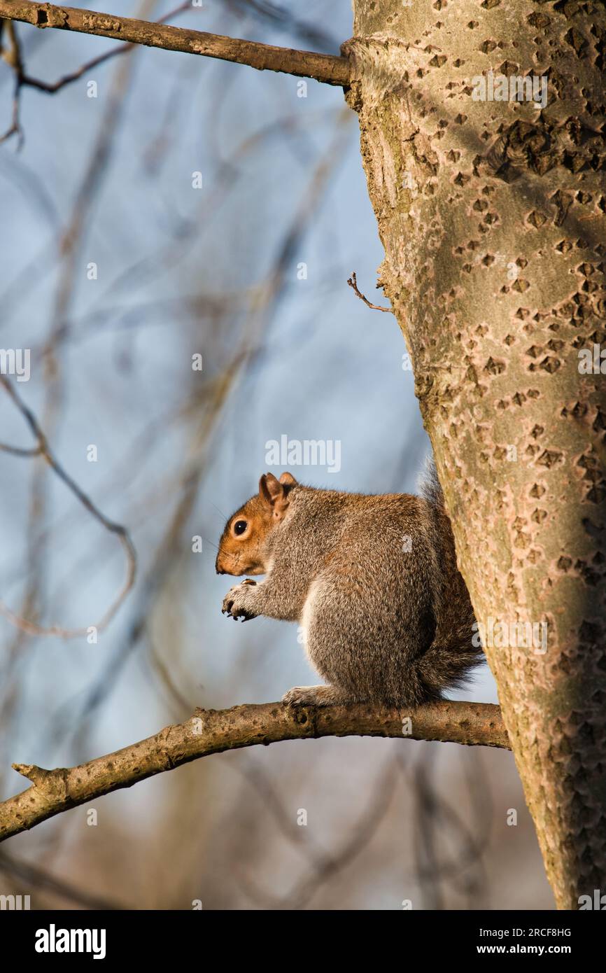 Amazing view footage taken of the nature and Flora and Fauna Stock ...