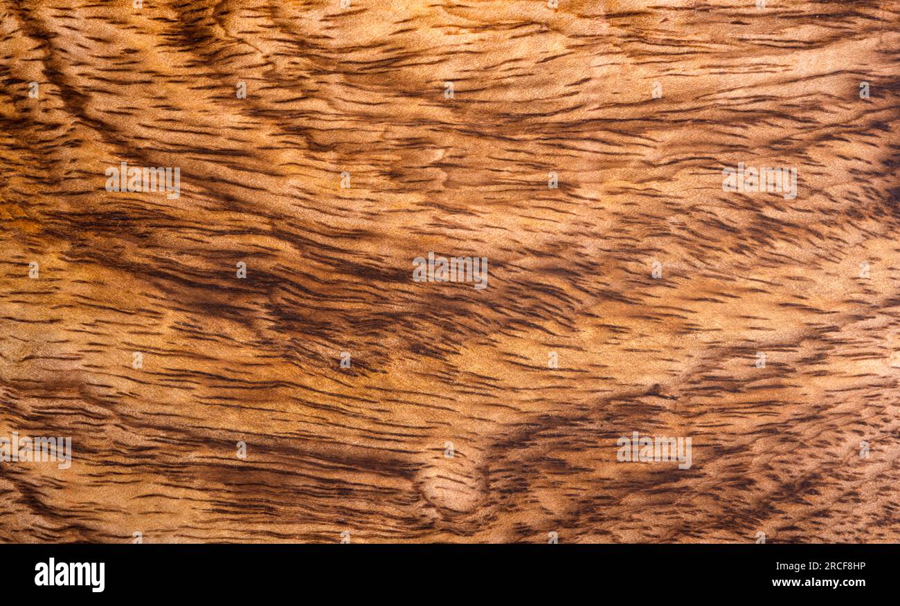 background of mango wood texture closeup Stock Photo - Alamy