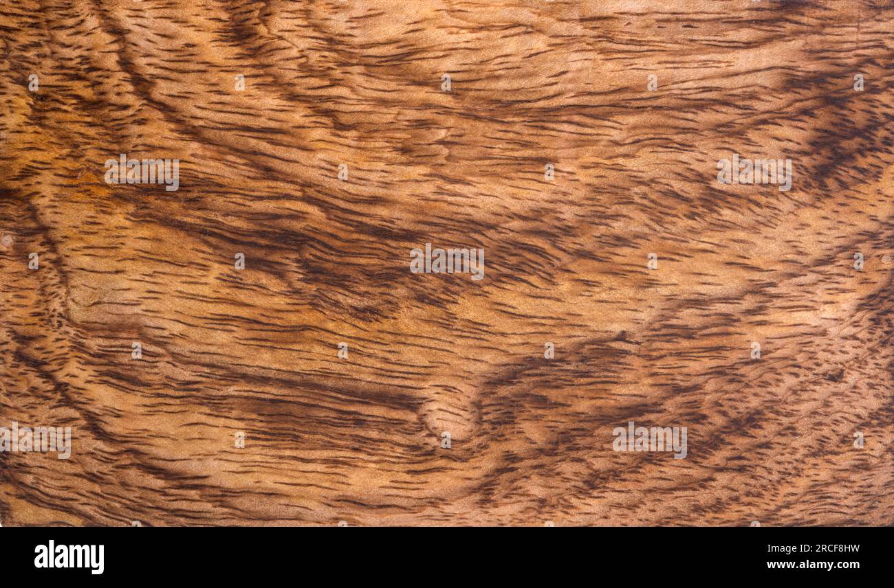 background of mango wood texture closeup Stock Photo - Alamy
