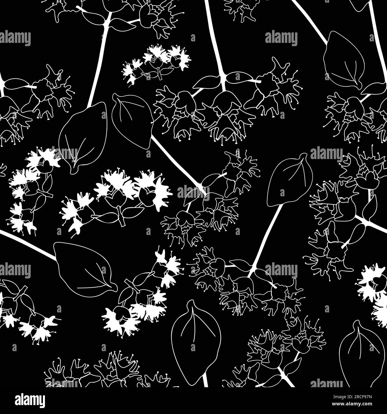 Monochrome seamless pattern with spice flower and twig outline; outline ...