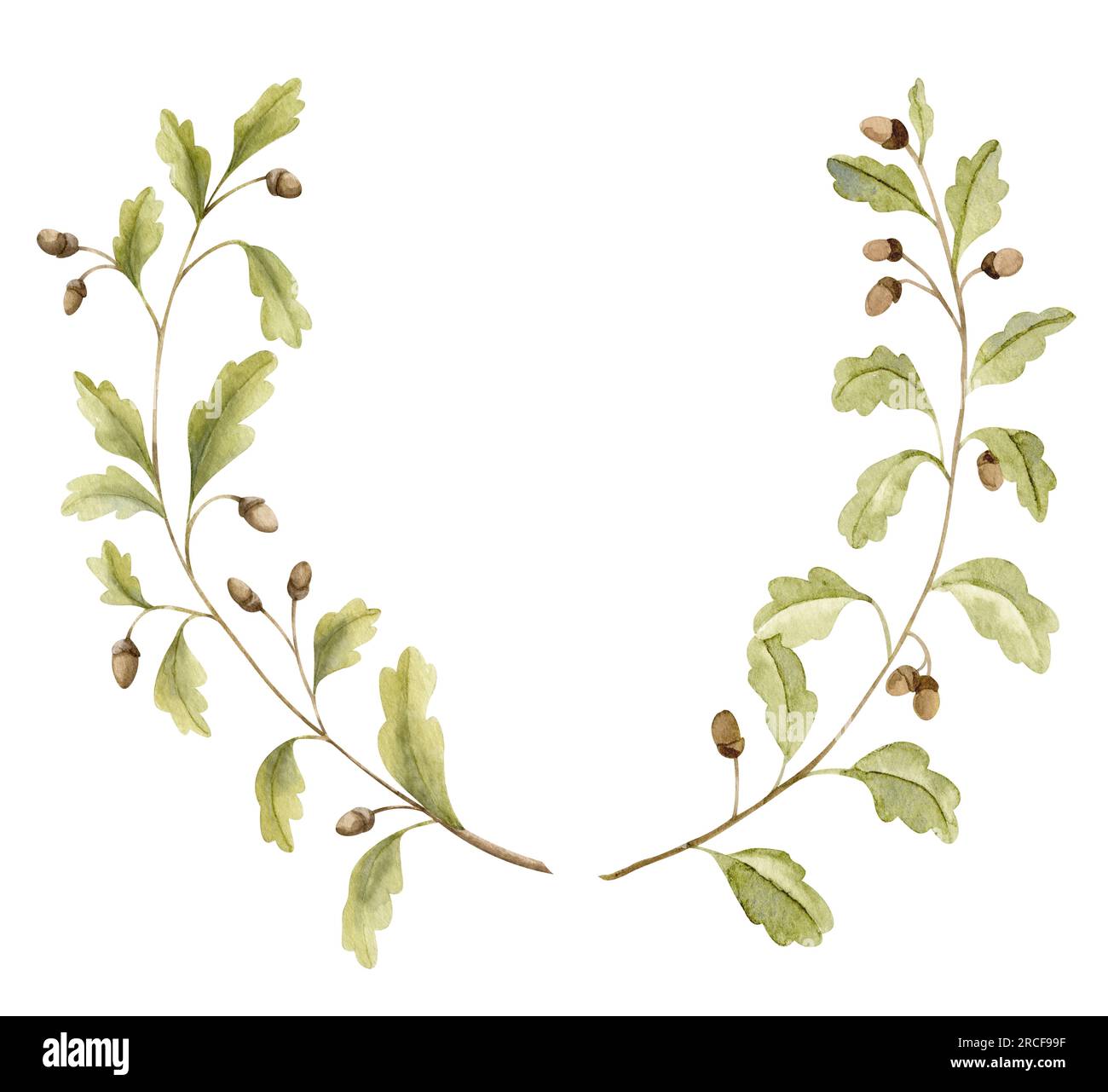 Oak tree drawing hi-res stock photography and images - Alamy