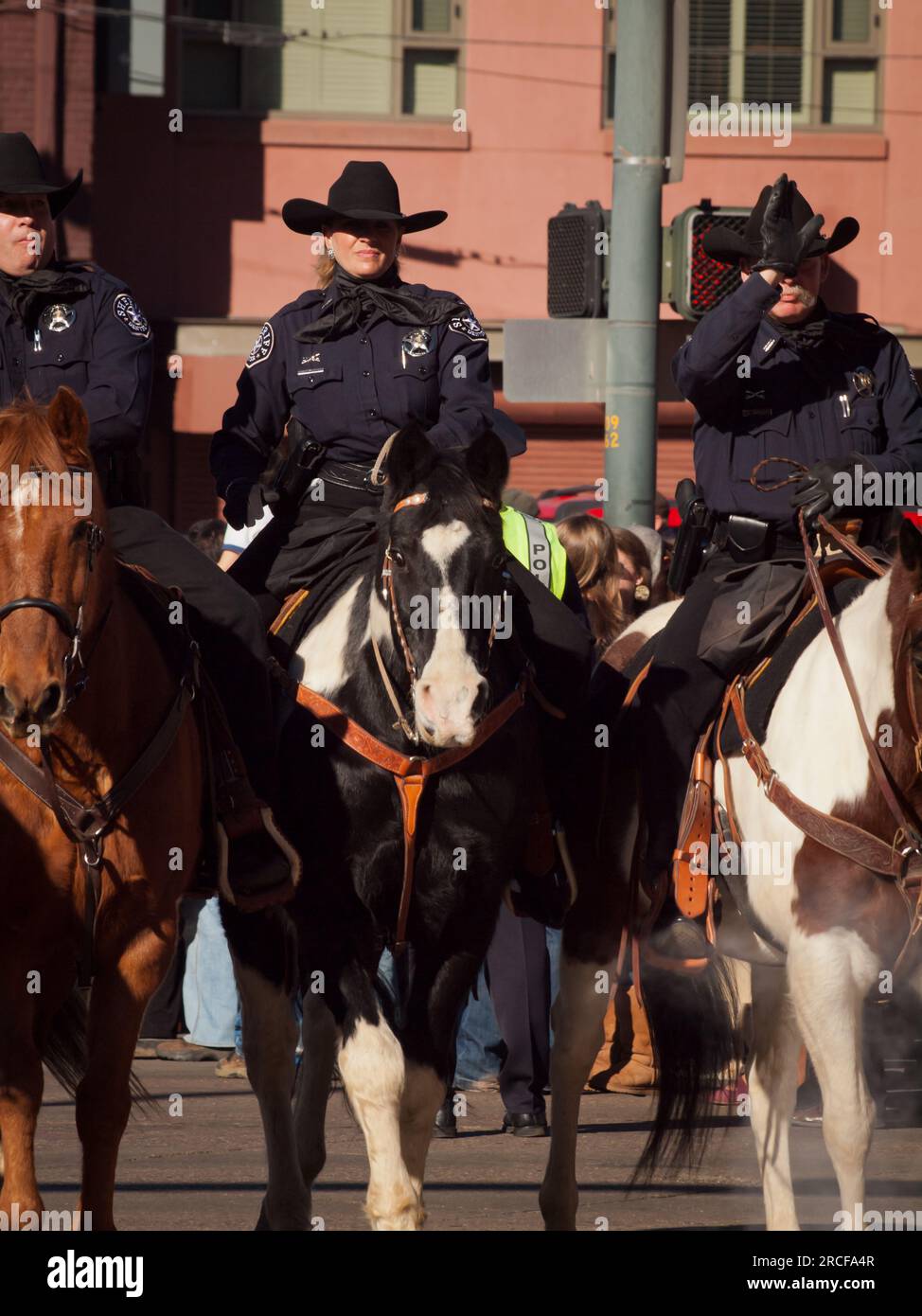 Blue horse white police hi-res stock photography and images - Alamy