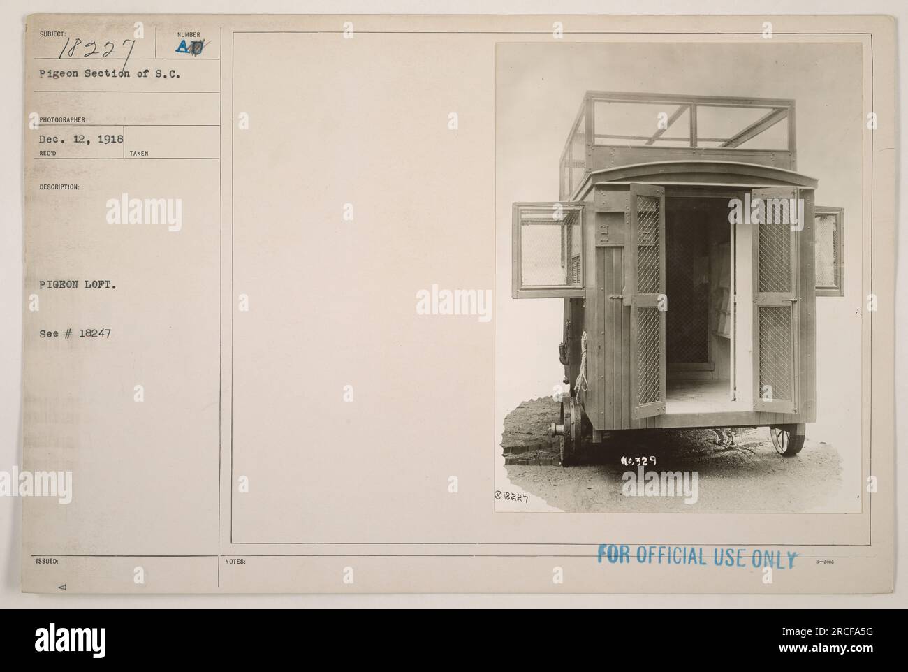 Members of the Pigeon Section of the Signal Corps pictured in front of ...